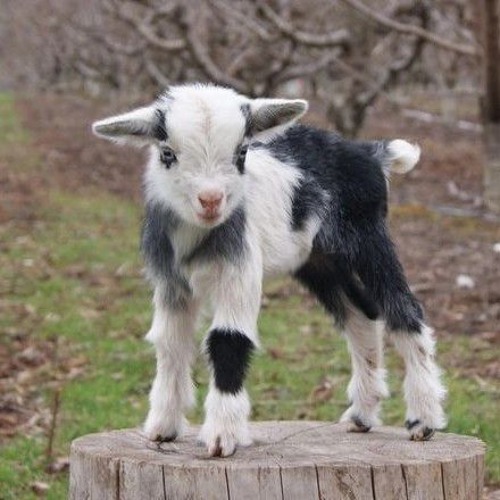 Stream cjyysqgfhfkbx music | Listen to songs, albums, playlists for ...