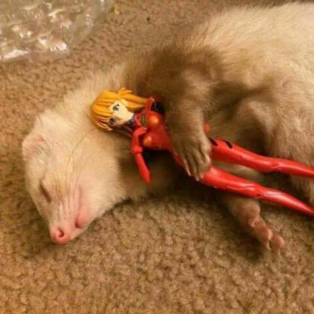 Stream ujjj by jungsed | Listen online for free on SoundCloud