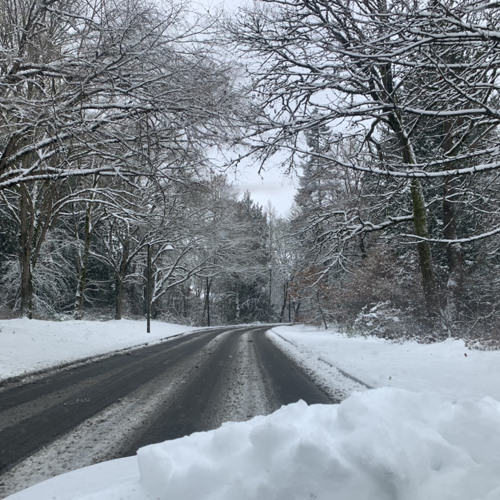 Stream Gabrielle Shull music | Listen to songs, albums, playlists for ...