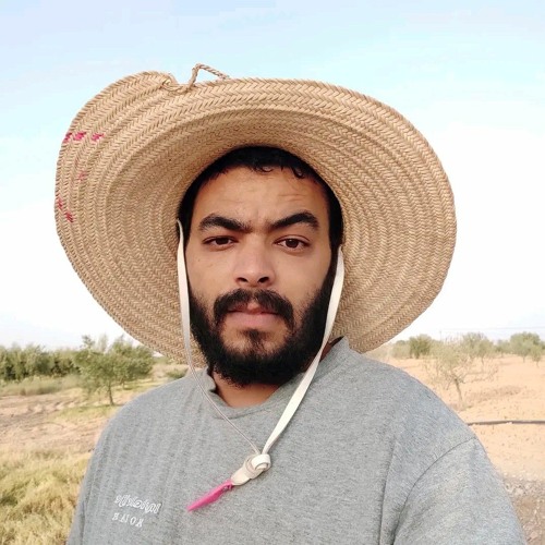Stream The Song of the Butterfly by Adnen Hamdi | Listen online for ...