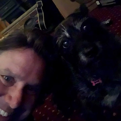 Stream David Laffin music | Listen to songs, albums, playlists for free ...