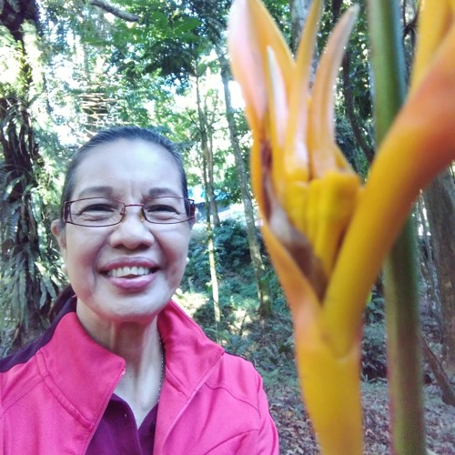 Stream Bess M music | Listen to songs, albums, playlists for free on ...