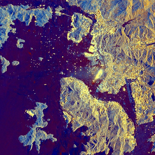 Stream NullRFFR music | Listen to songs, albums, playlists for free on ...