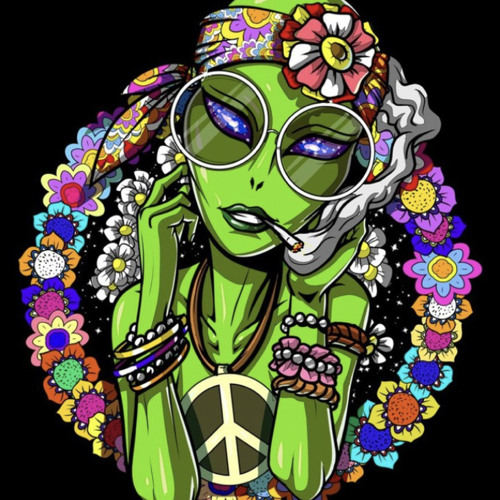 Stream Madison Martell music | Listen to songs, albums, playlists for ...