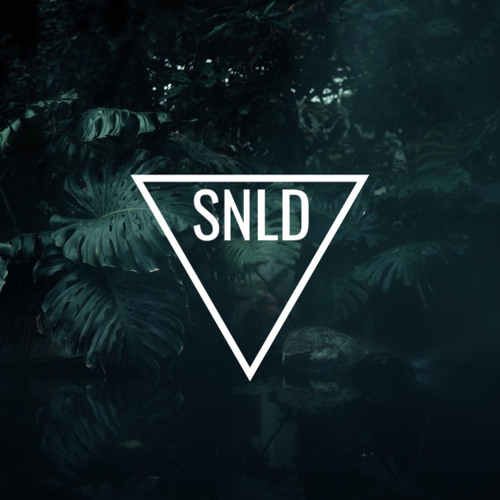 Stream SNLD 2023 Review by Saturday Night LockDown | Listen online for ...