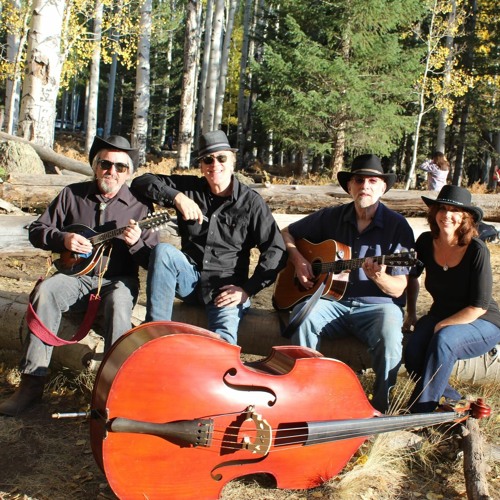 Stream Aspen Dirt Band | Listen to Aspen Dirt Band Mudshark Recording ...