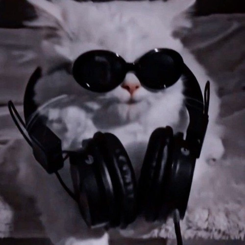 Stream X_n3.y music | Listen to songs, albums, playlists for free on ...