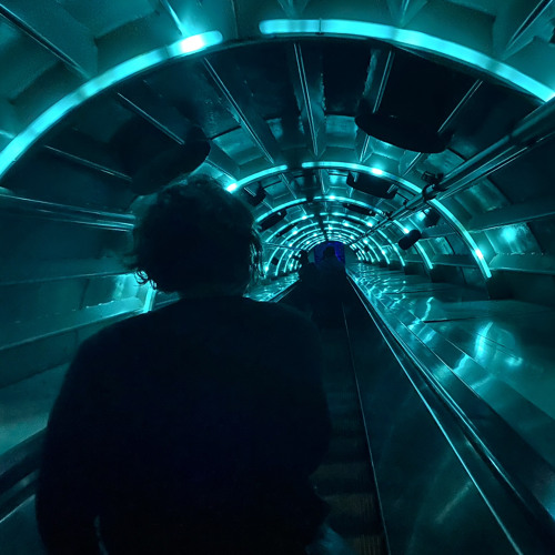 Stream forever_raver music | Listen to songs, albums, playlists for ...