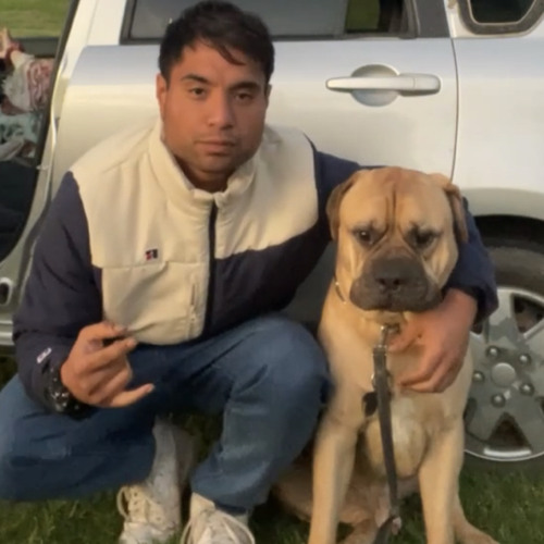 Stream jorde music | Listen to songs, albums, playlists for free on ...