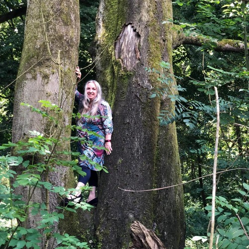 Stream Three Little Birds One Love - Bob Marley by Clare Drury Hull ...