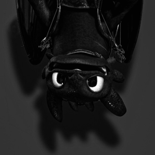 Stream NOA music | Listen to songs, albums, playlists for free on ...