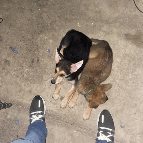 Stream Isaac Tirado music | Listen to songs, albums, playlists for free ...