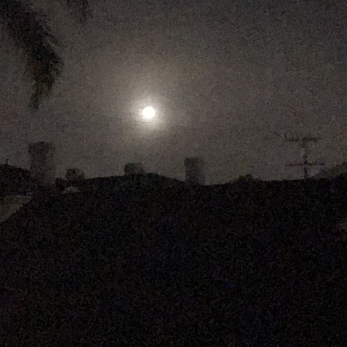 Stream XXXDENTACION music | Listen to songs, albums, playlists for free ...