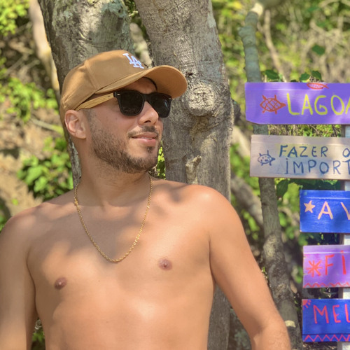 Stream MC MAGRINHO - PUMBA LA PUMBA 2012 - HITS PROJETO X -08 SET by Allan Roque | Listen online ...