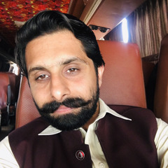 Wajid ali musician store