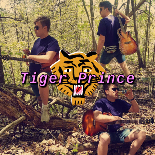 Stream Prince Tiger music | Listen to songs, albums, playlists for free ...