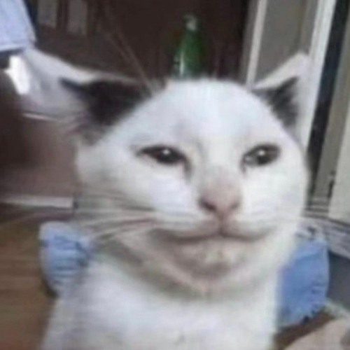 Stream Elin Lindell Davidsson music | Listen to songs, albums ...