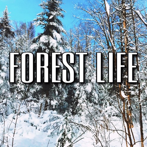 Stream Forest Life Music music | Listen to songs, albums, playlists for ...