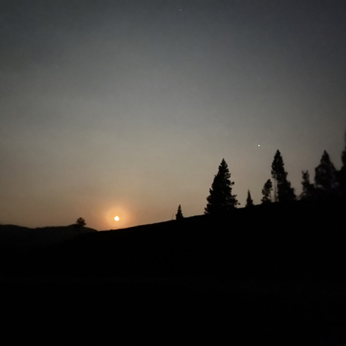 Stream Brooke Singer music | Listen to songs, albums, playlists for ...