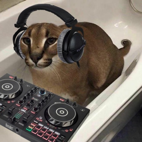 Stream DJ Floppa music | Listen to songs, albums, playlists for free on ...