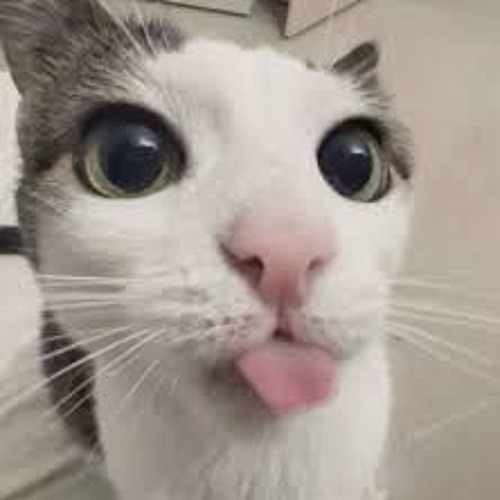 Stream mr.finglebottom music | Listen to songs, albums, playlists for ...