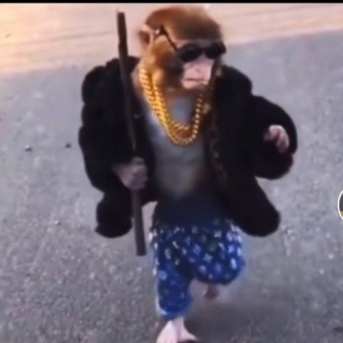 Stream ganksta monke music | Listen to songs, albums, playlists for ...