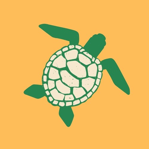 Stream Panic Turtle music | Listen to songs, albums, playlists for free ...