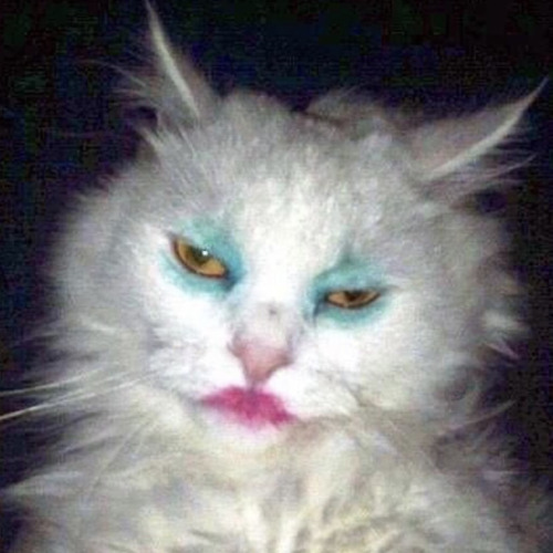 Stream ya_ebal music | Listen to songs, albums, playlists for free on ...