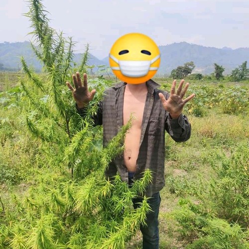 Stream vvvj llla music | Listen to songs, albums, playlists for free on ...