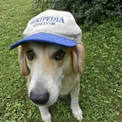 Stream heyheyhey music | Listen to songs, albums, playlists for free on ...