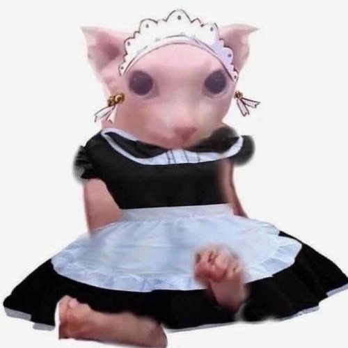 Stream deck meck 💀 music | Listen to songs, albums, playlists for free ...