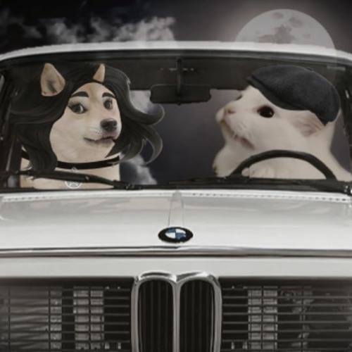 Stream Malow Meme music | Listen to songs, albums, playlists for free ...