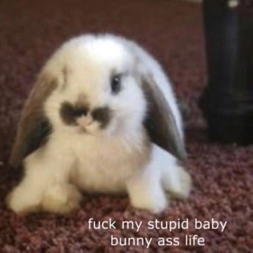 Stream shreyash music | Listen to songs, albums, playlists for free on ...