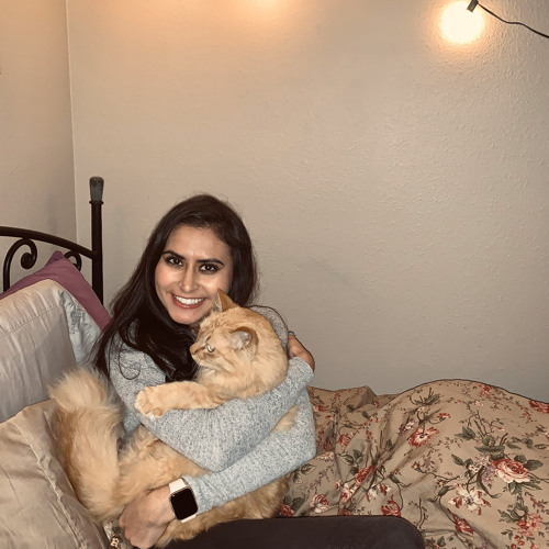 Stream Belize Garza music | Listen to songs, albums, playlists for free ...