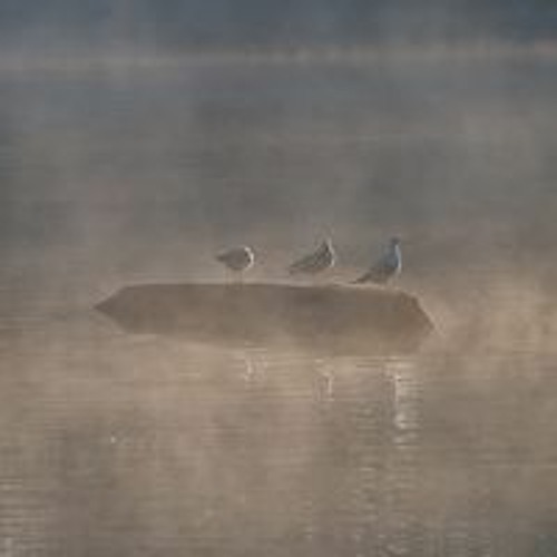 Stream Bert van Wijk music | Listen to songs, albums, playlists for ...