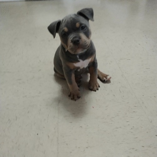 Stream Zechariah Hinman music | Listen to songs, albums, playlists for ...