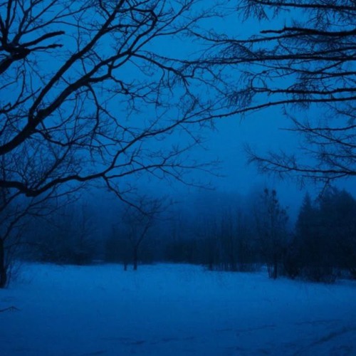 Stream night illusion music | Listen to songs, albums, playlists for ...