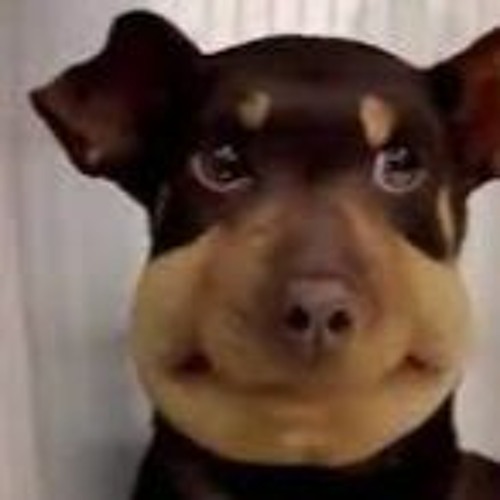 Stream Dreamy Bull Bus Sound Effect Soundboard Link ⬇⬇ by Axel Alfaro ...