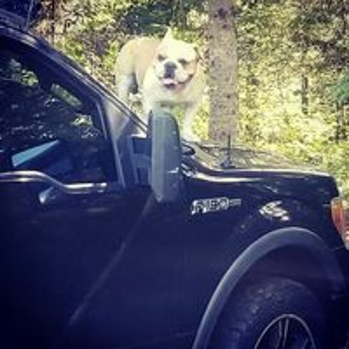 Stream Lucas Boudreau music | Listen to songs, albums, playlists for ...