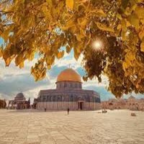 Stream Riham Katout music | Listen to songs, albums, playlists for free ...