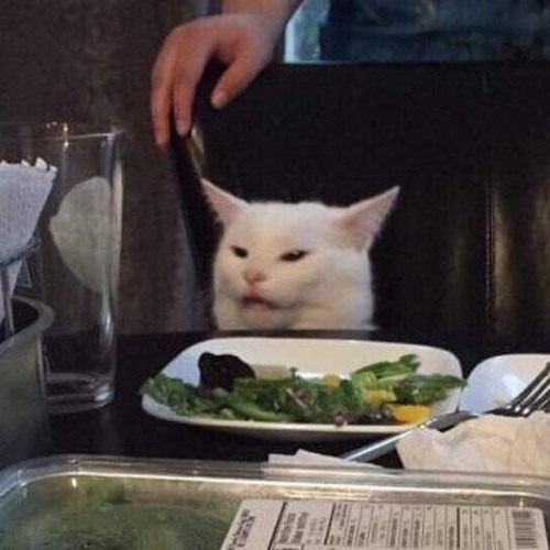 Stream Zhen Hans music | Listen to songs, albums, playlists for free on ...