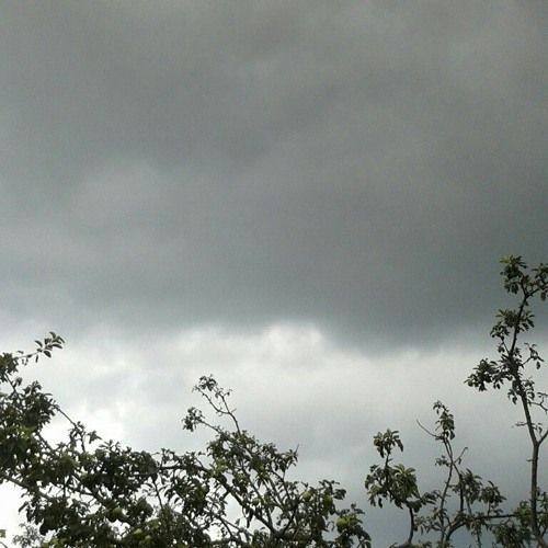 Stream lee music | Listen to songs, albums, playlists for free on ...