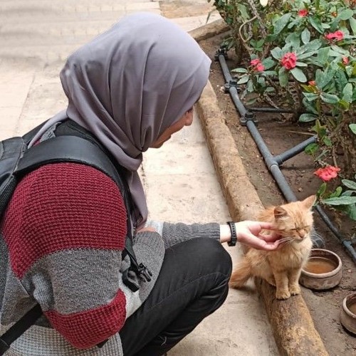 Stream samira ashraf music | Listen to songs, albums, playlists for free on SoundCloud