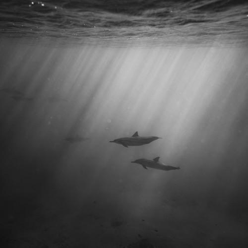 Stream Ethan Rivers music | Listen to songs, albums, playlists for free ...