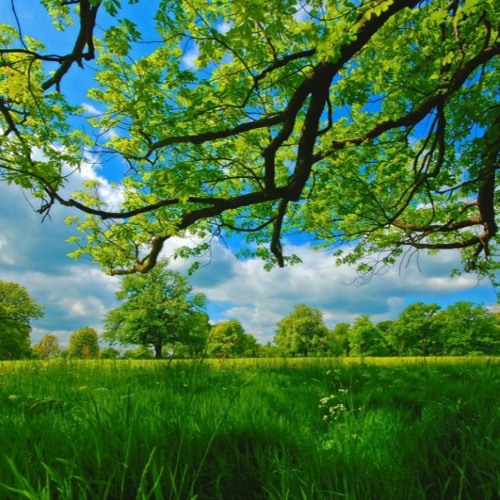 Stream Tunetank_Ambient music | Listen to songs, albums, playlists for free on SoundCloud