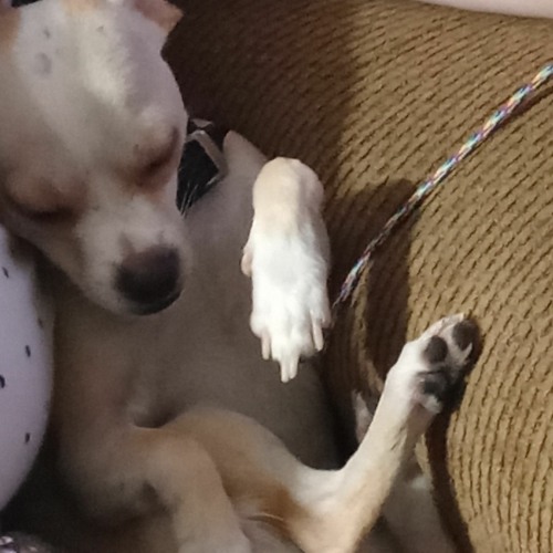 Stream NikkiV music | Listen to songs, albums, playlists for free on ...