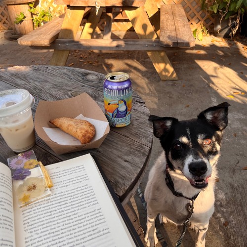 Stream Megan Verbera music | Listen to songs, albums, playlists for ...