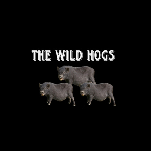 Stream Wild Hogs music | Listen to songs, albums, playlists for free on ...