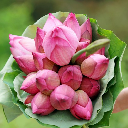 Stream Jake Rivers music | Listen to songs, albums, playlists for free ...