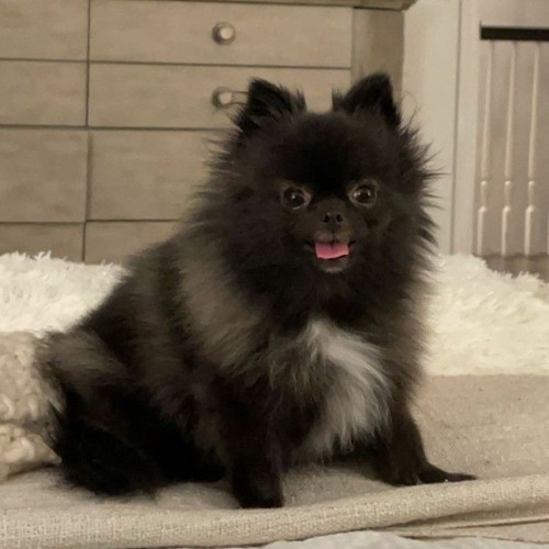 Stream fvkn.a music | Listen to songs, albums, playlists for free on ...